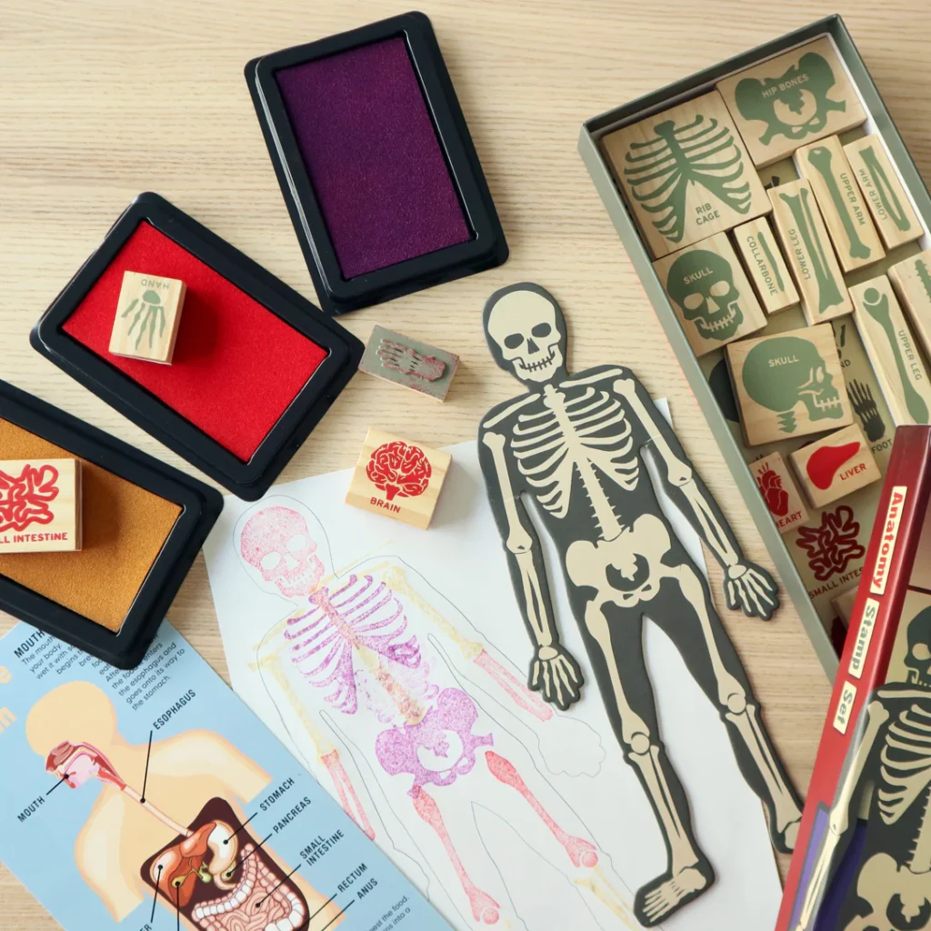 Anatomy Stamp Set – WACKO Los Angeles