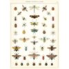 Natural History Insects Flat Wrap/ Poster – WACKO Los Angeles