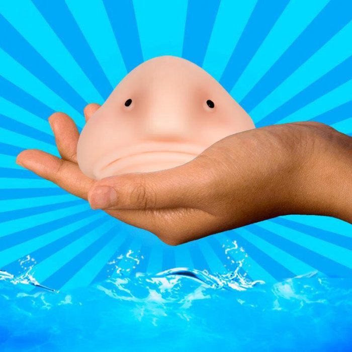 Sunny the Happy Blobfish Squishy – WACKO Los Angeles