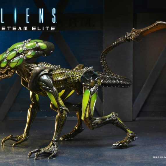 Junko Ito Kaikibako Colour Edition Blind Box – WACKO Los Angeles